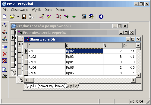 Pmk - opis działania programu